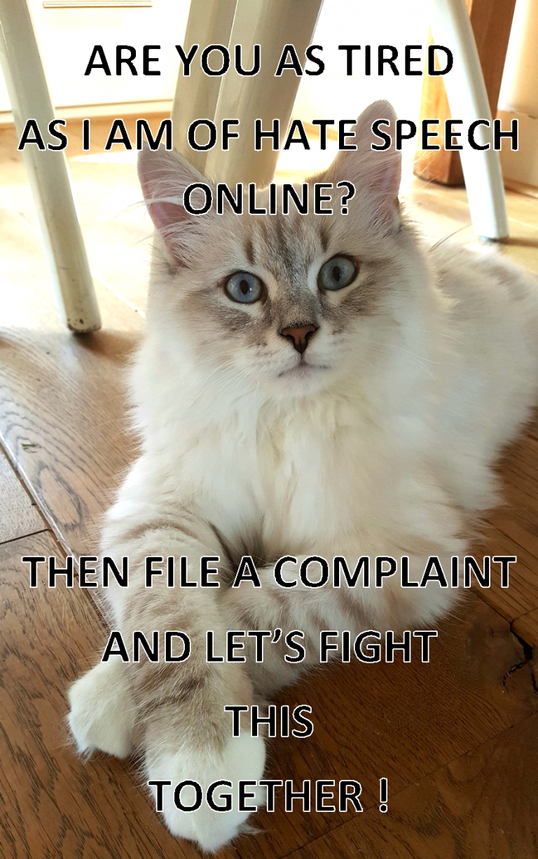 Why file a complaint – INACH